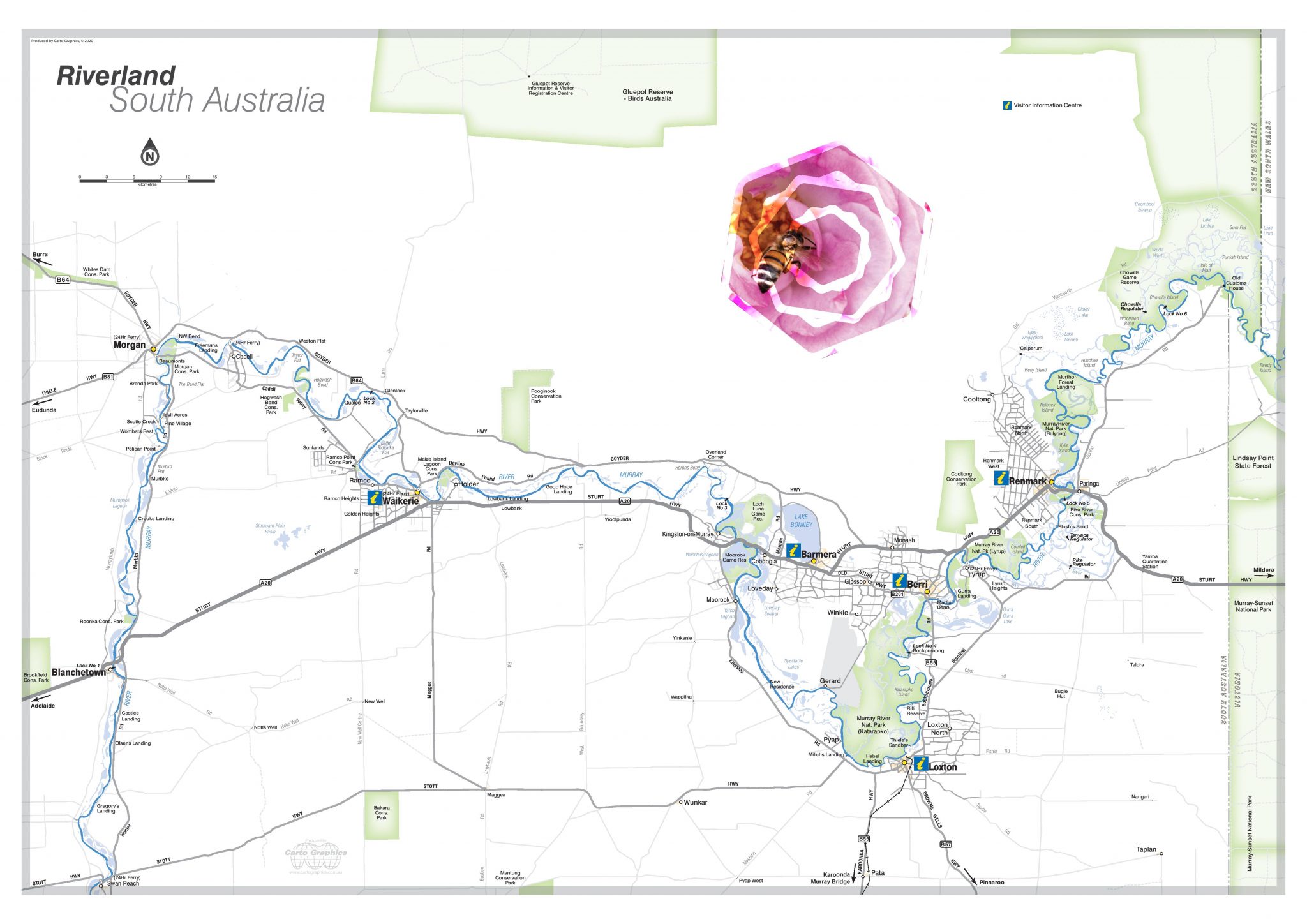 Garden Festival Maps - Riverland Rose and Garden Festival